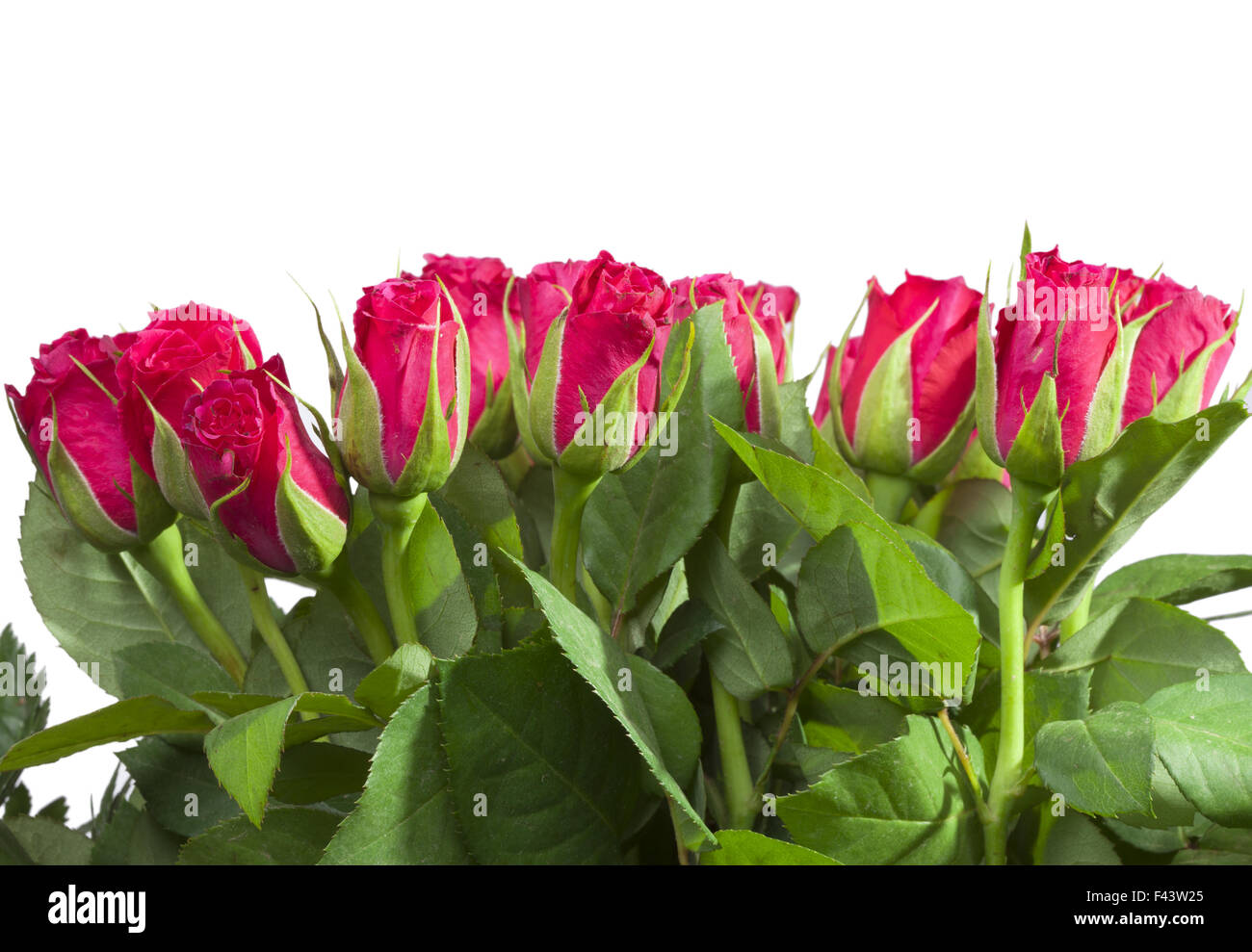 Red roses bouquet Stock Photo - Alamy