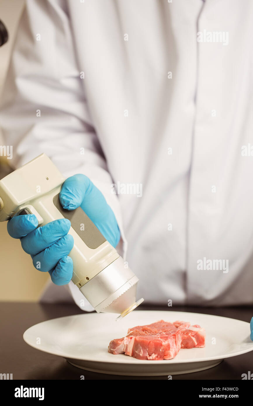 Food scientist using device on meat Stock Photo - Alamy