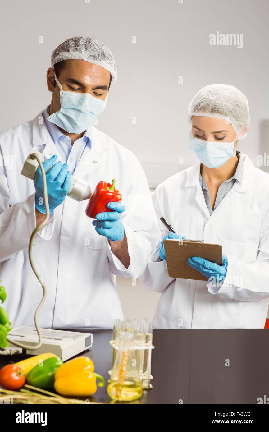Food scientist using device on pepper Stock Photo - Alamy
