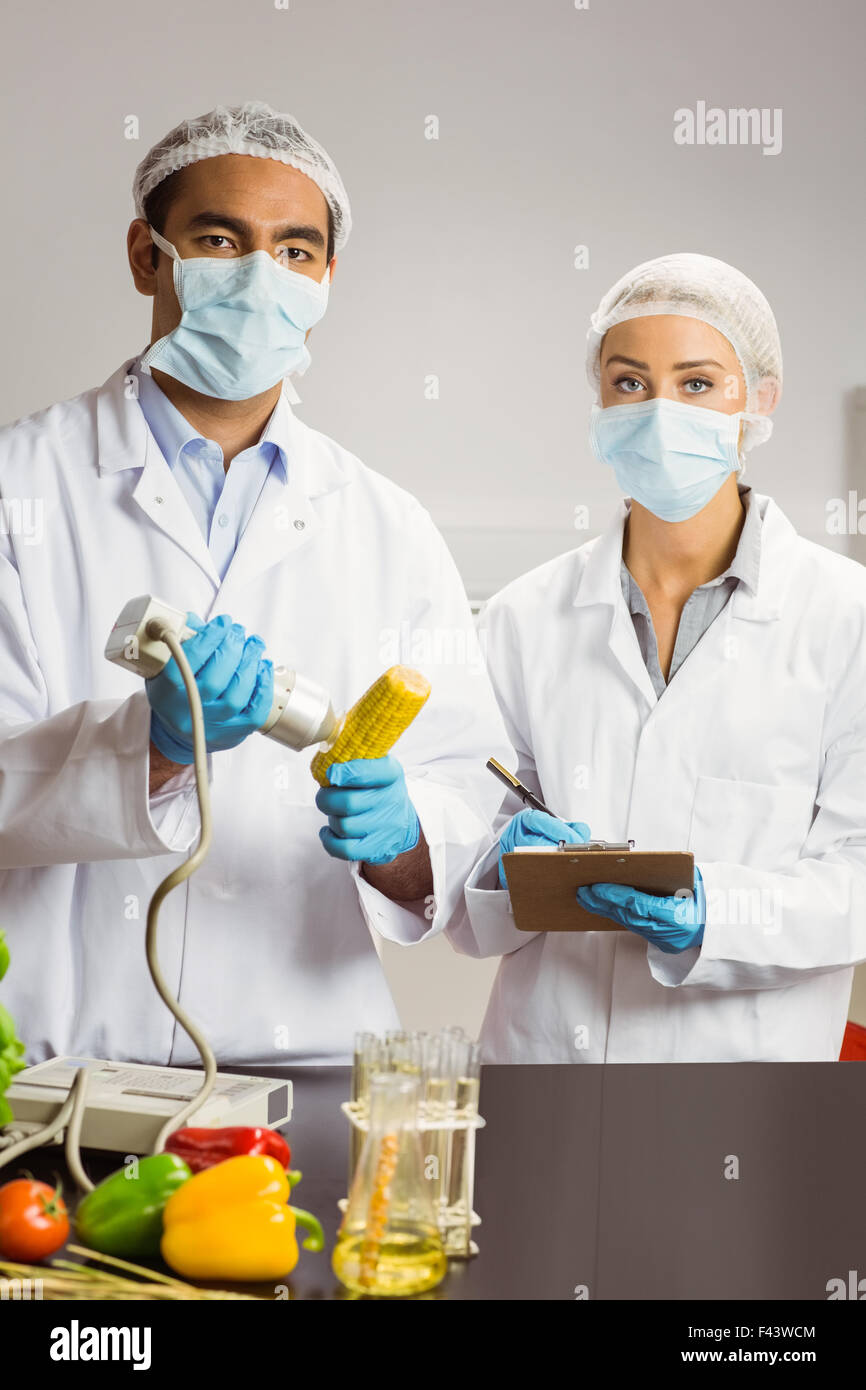 Food scientist using device on corn cob Stock Photo - Alamy