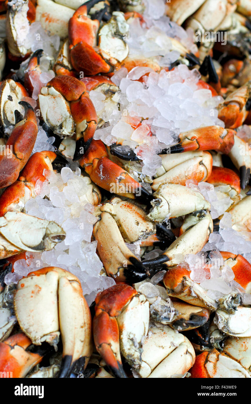 Crab fresh pile hi-res stock photography and images - Alamy