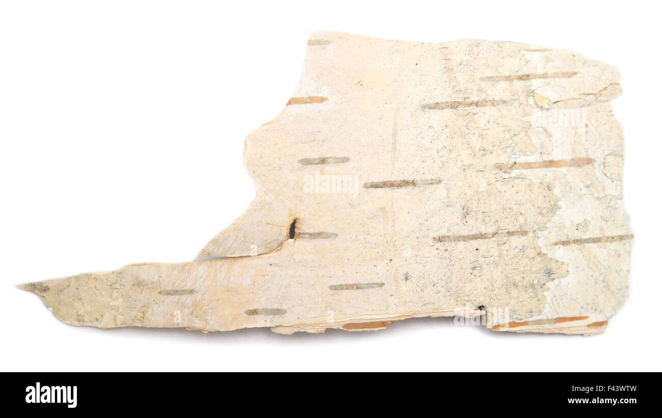 Flat bark Cut Out Stock Images & Pictures - Alamy