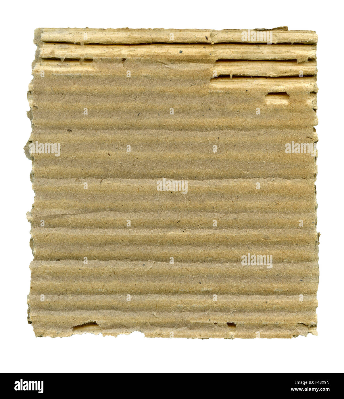 Torn cardboard isolated Stock Photo - Alamy