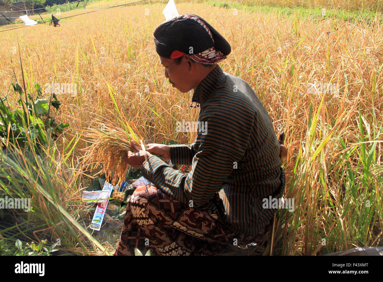 A village leader in Pakem, Sleman, Yogyakarta, Indonesia is conducting ...