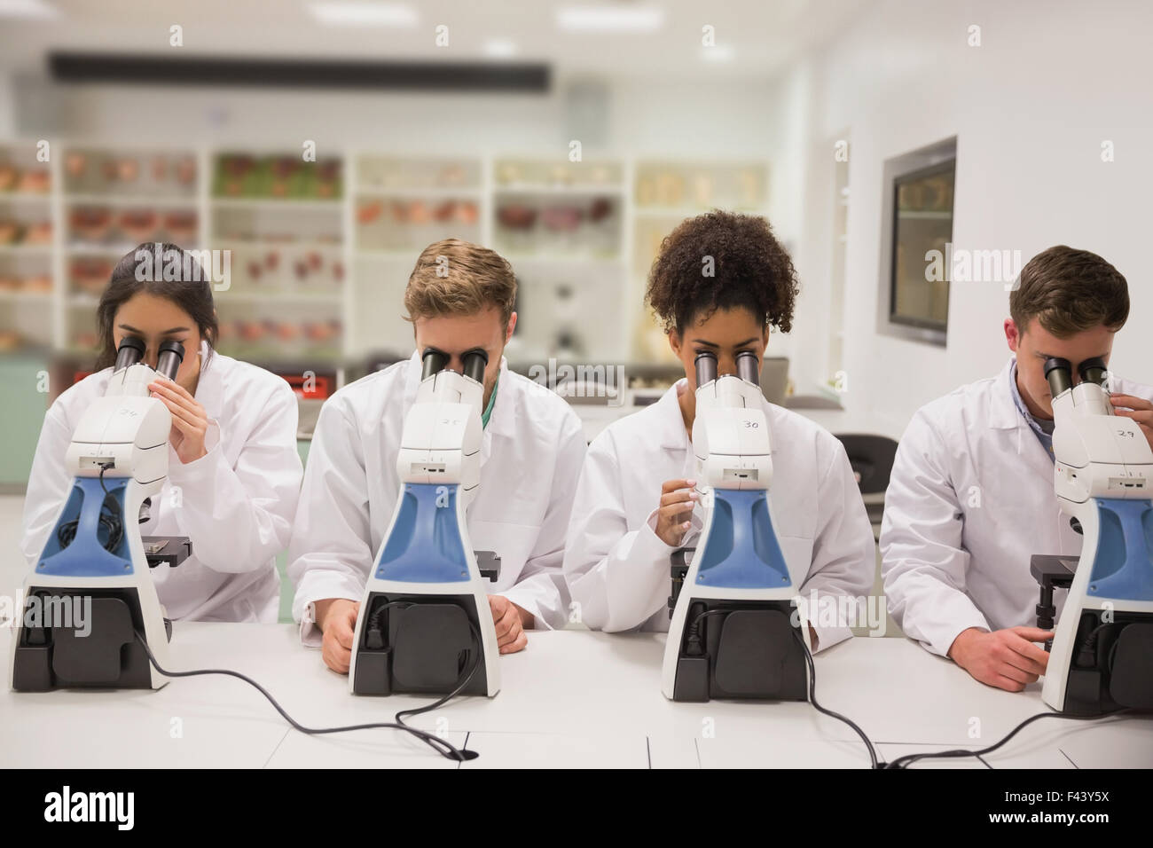 Medical students working with microscope Stock Photo - Alamy