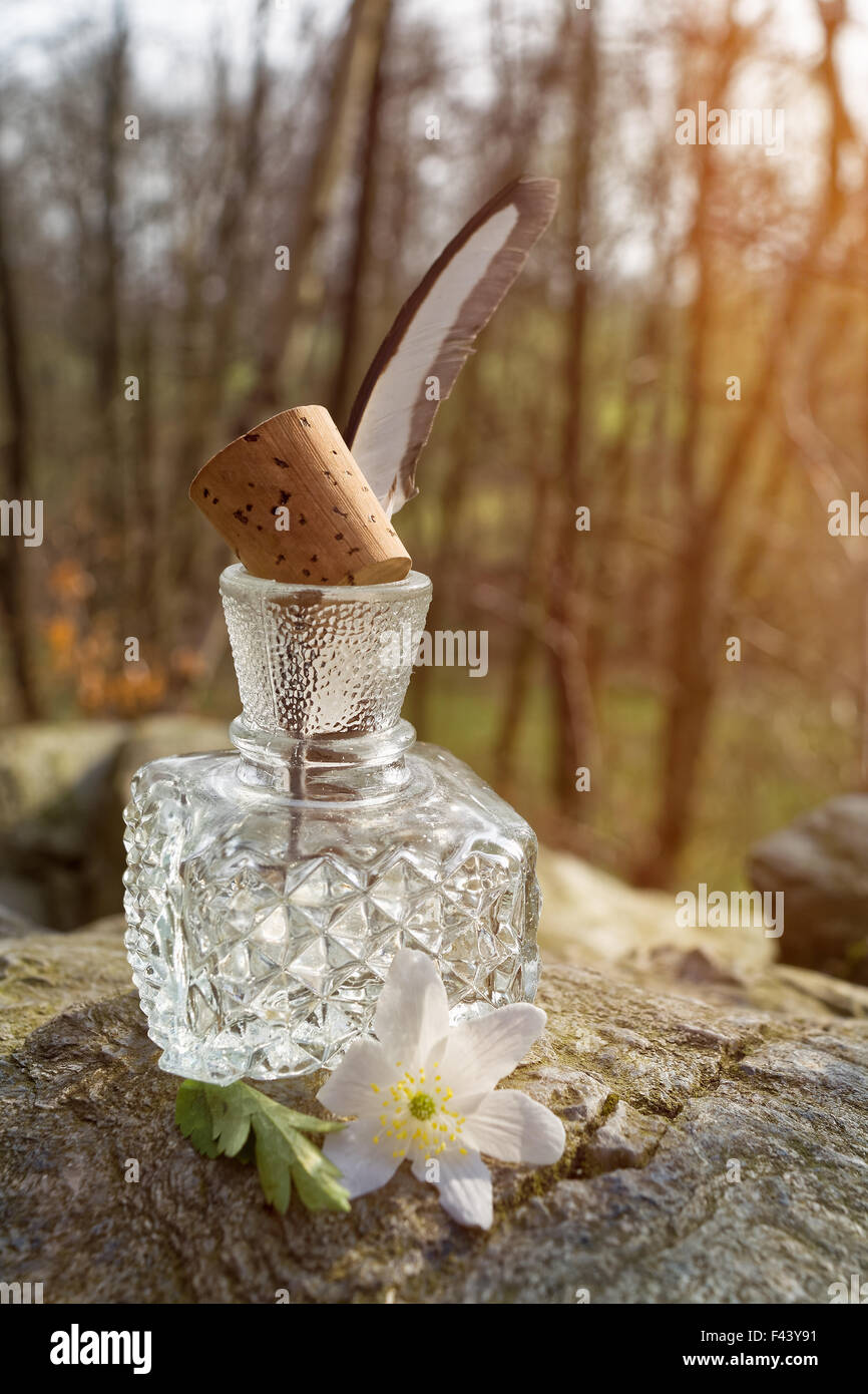 Inkwell spring hi-res stock photography and images - Alamy