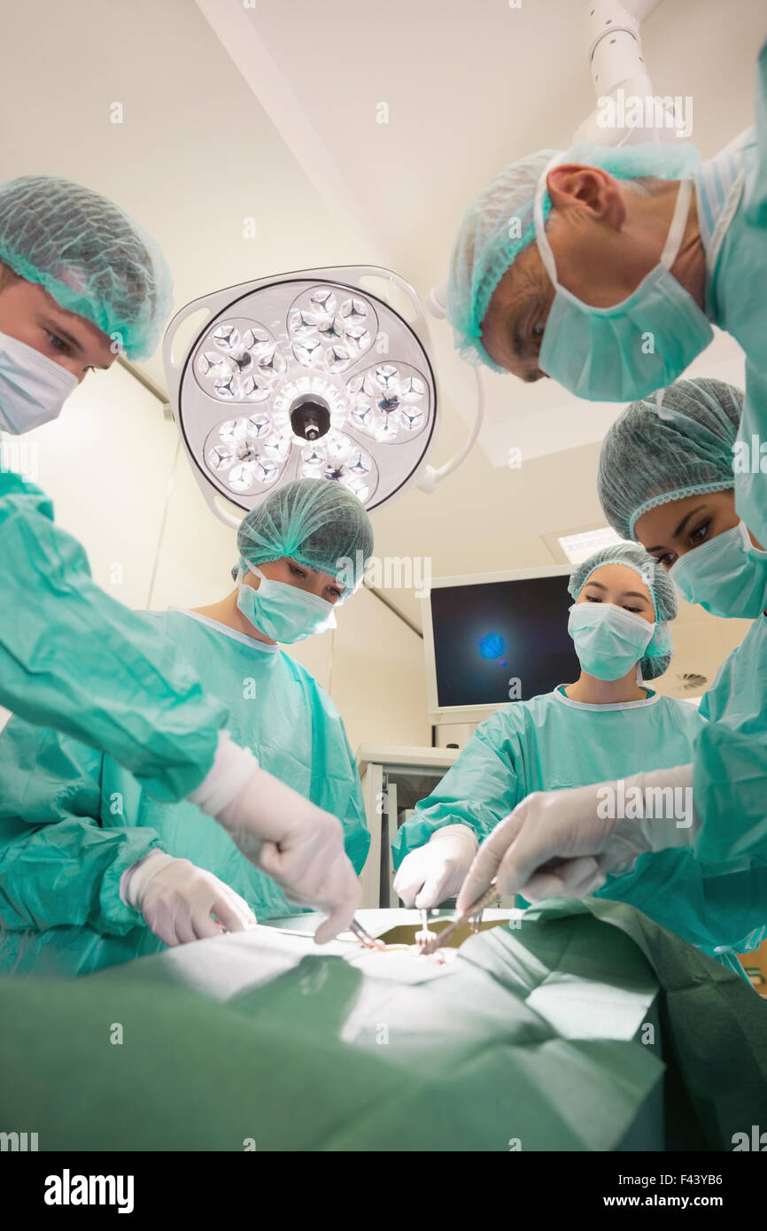 Medical students practicing surgery on model Stock Photo - Alamy