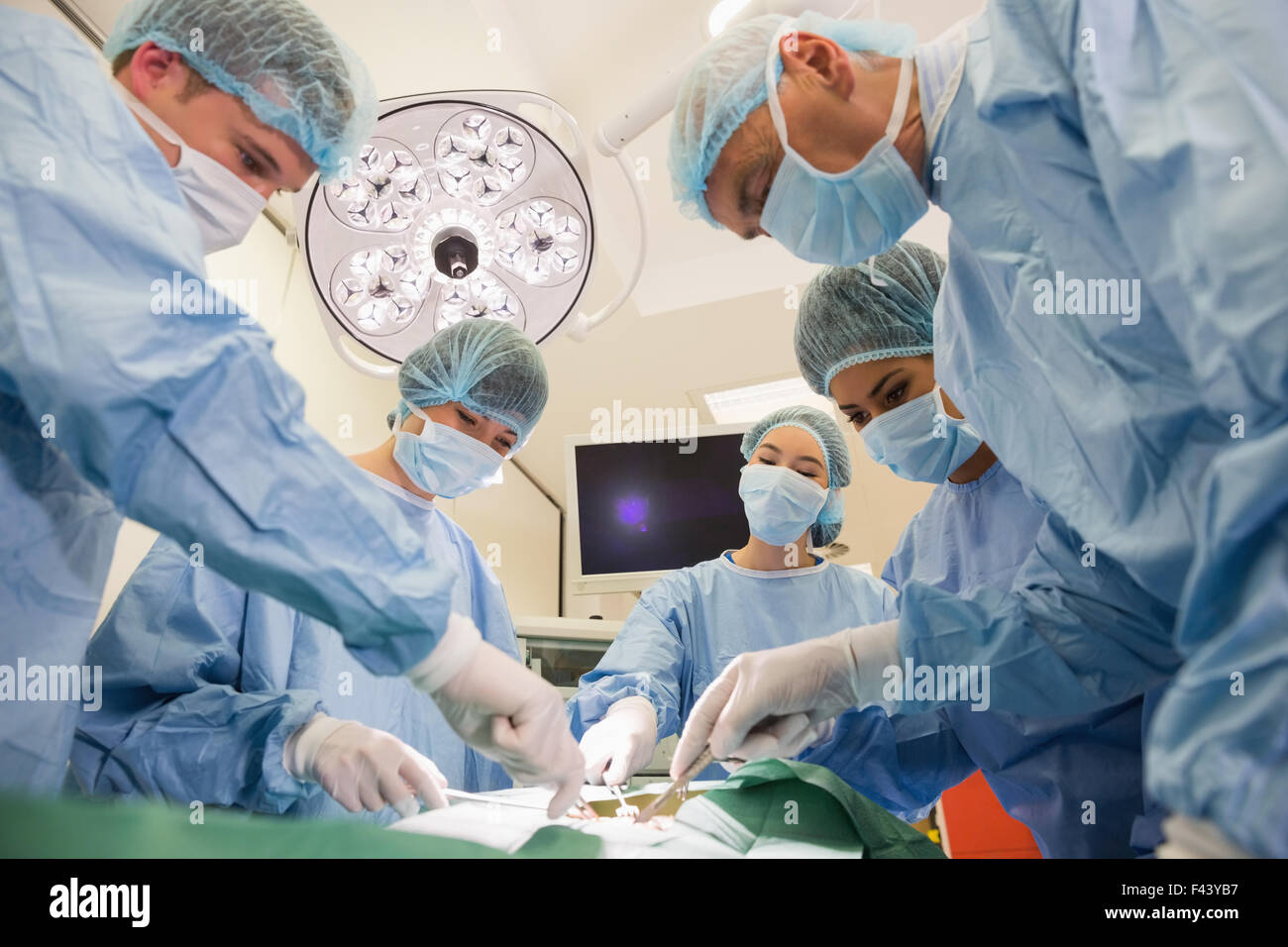 Medical students practicing surgery on model Stock Photo - Alamy