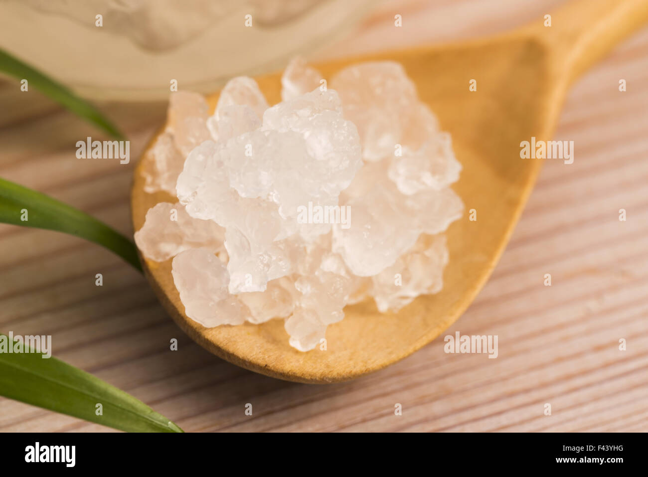 Water kefir grains Stock Photo - Alamy