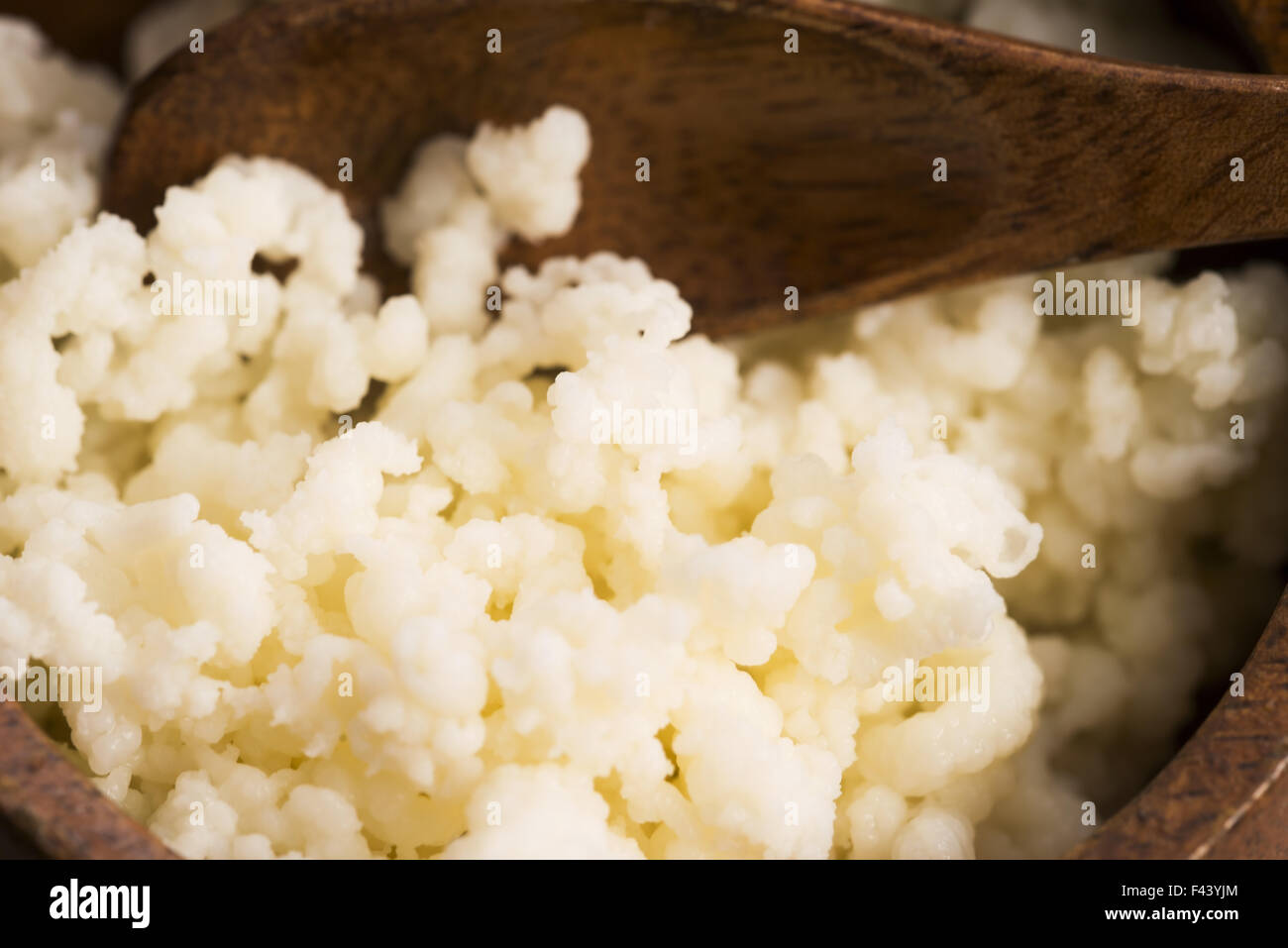 Organic probiotic milk kefir grains Stock Photo - Alamy