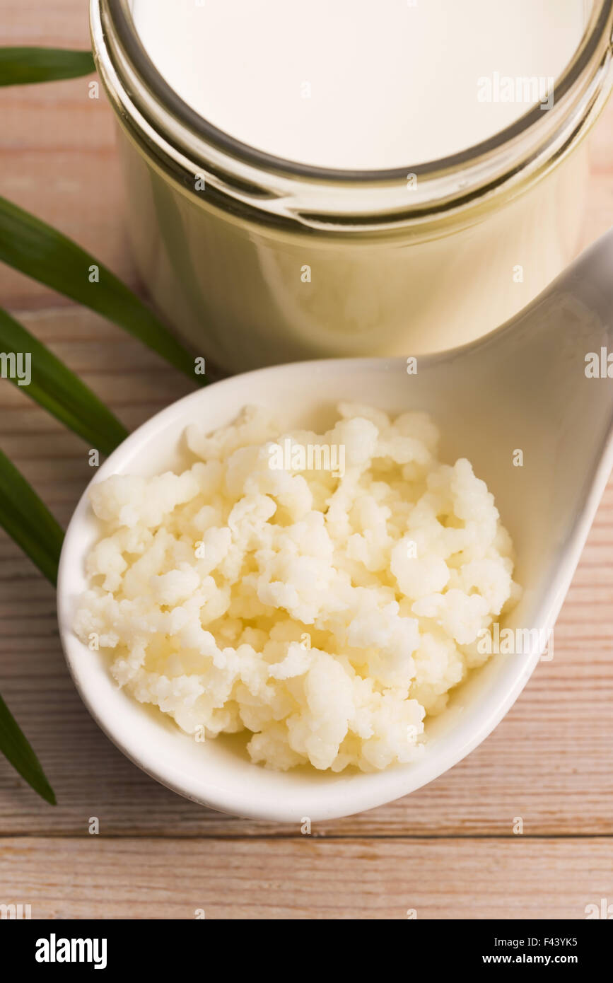 Organic probiotic milk kefir grains Stock Photo - Alamy