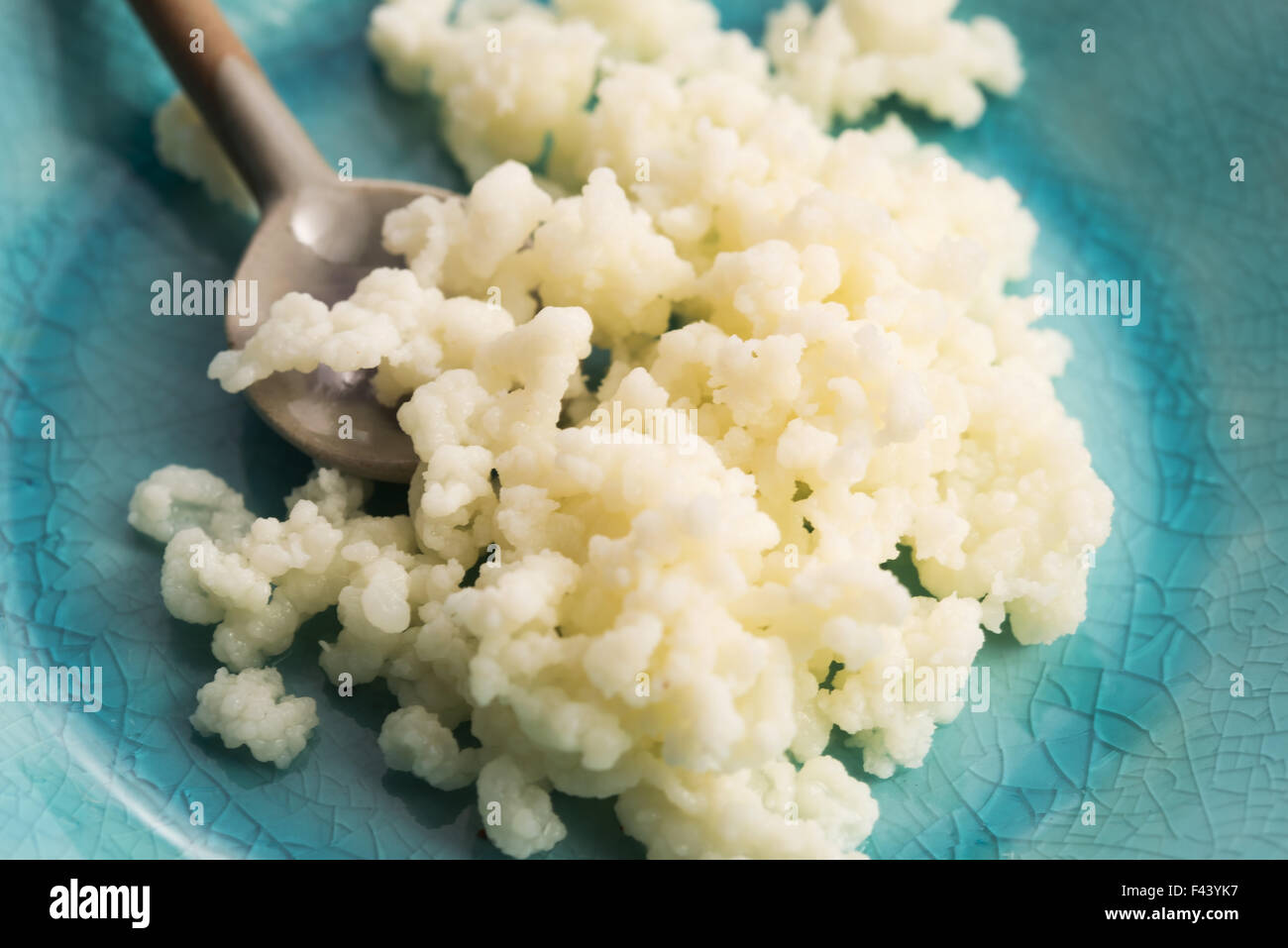 Organic probiotic milk kefir grains Stock Photo - Alamy