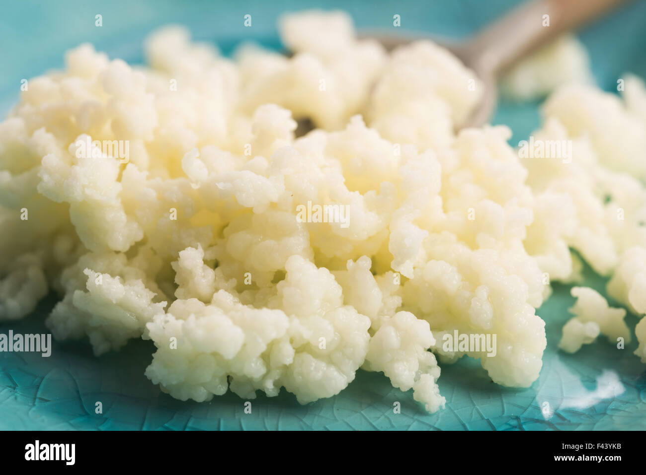 Organic probiotic milk kefir grains Stock Photo - Alamy