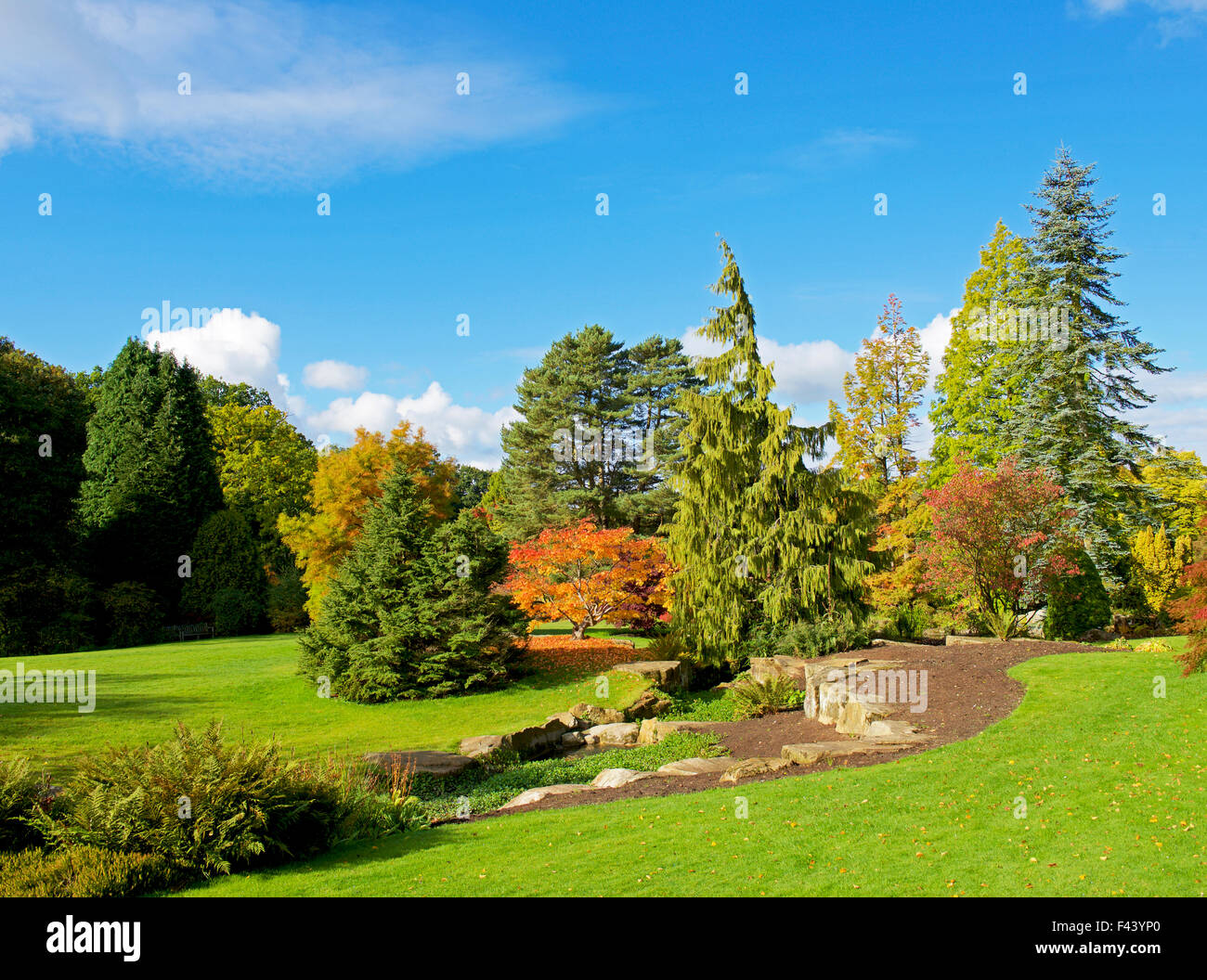 Harlow Carr, the Royal Horticultural Society's gardens, near Harrogate ...
