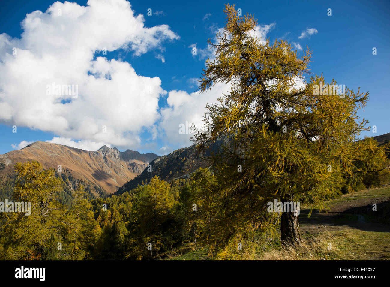 Fall autmn hi-res stock photography and images - Alamy