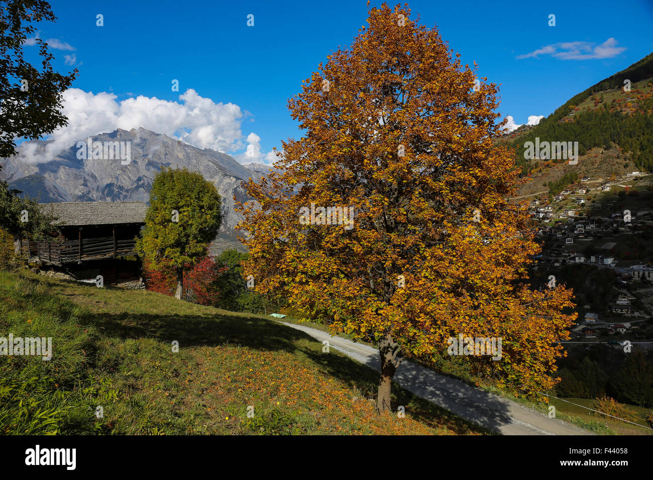 Autumn in the Swiss Alps Stock Photo - Alamy
