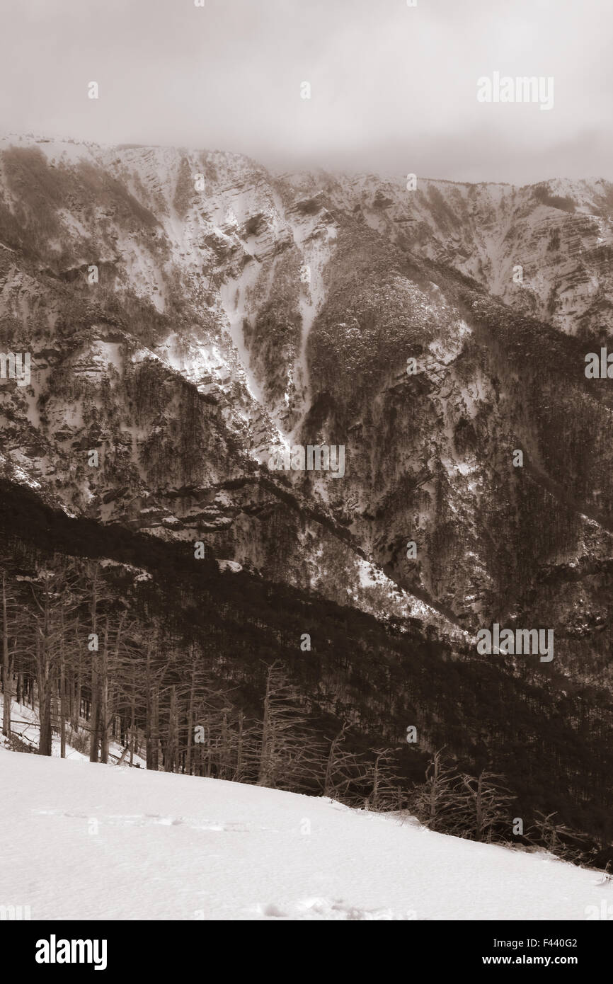 Evergreen landscapes hi-res stock photography and images - Alamy