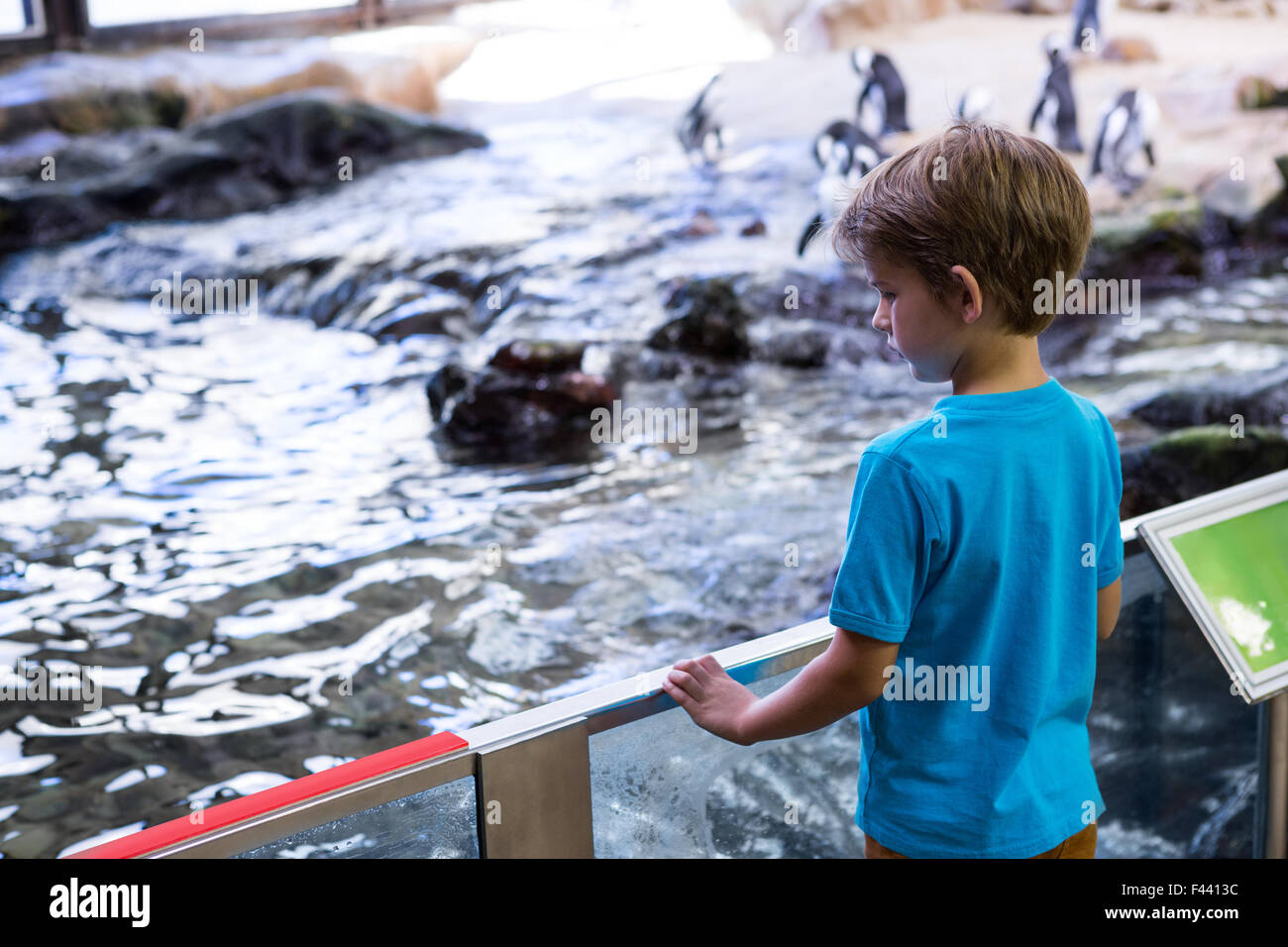 Young man looking at a river Stock Photo - Alamy