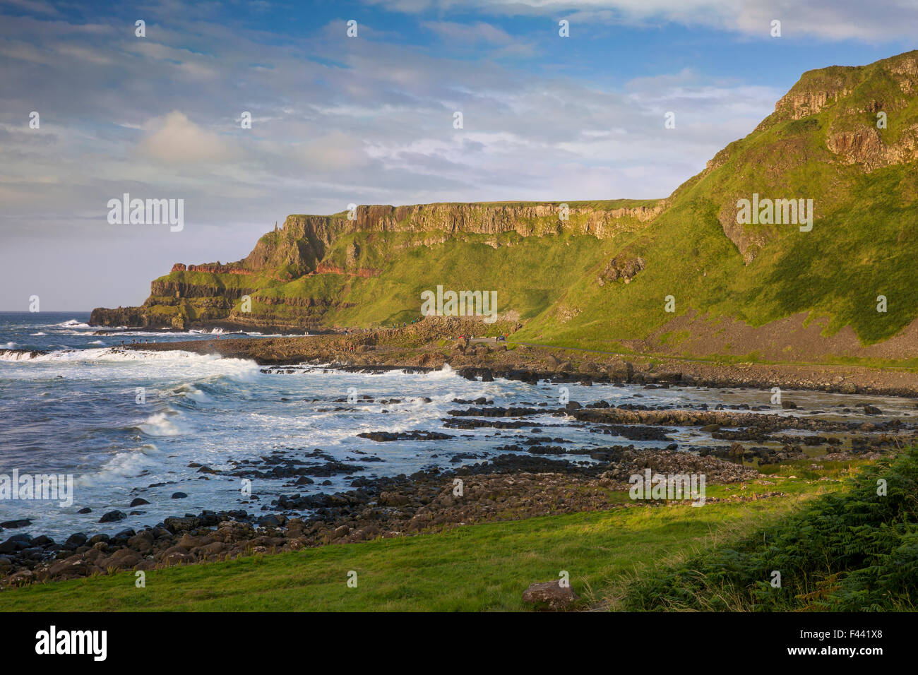Cliffs above the Giant's Causeway, County Antrim, Northern Ireland ...
