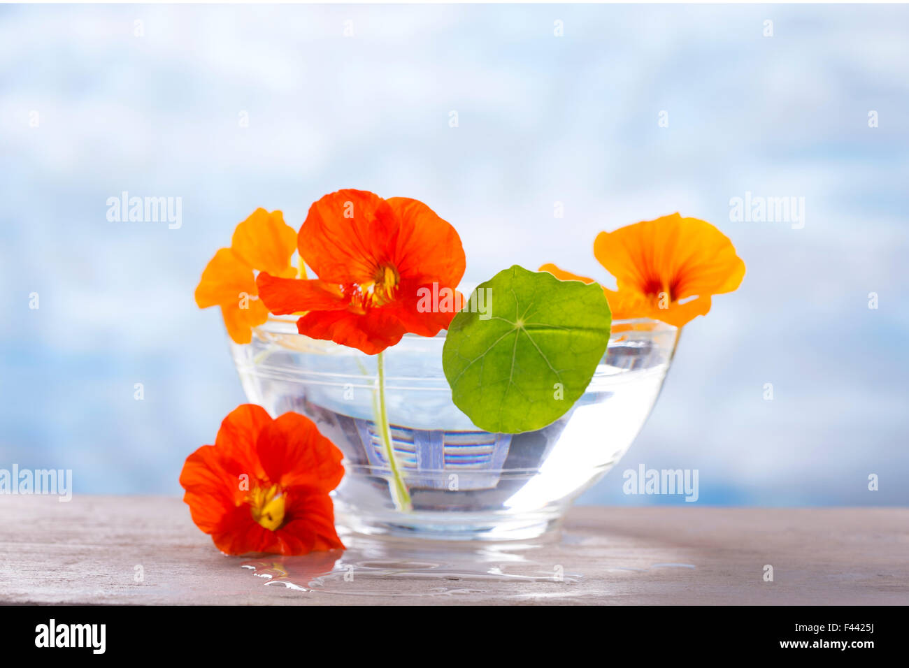 a Glass bowl of fresh nasturtiums flowers Stock Photo - Alamy