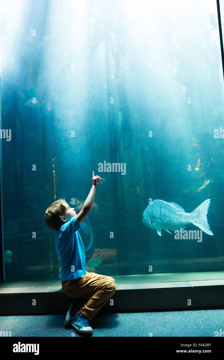 Young man pointing the top of a tank Stock Photo - Alamy