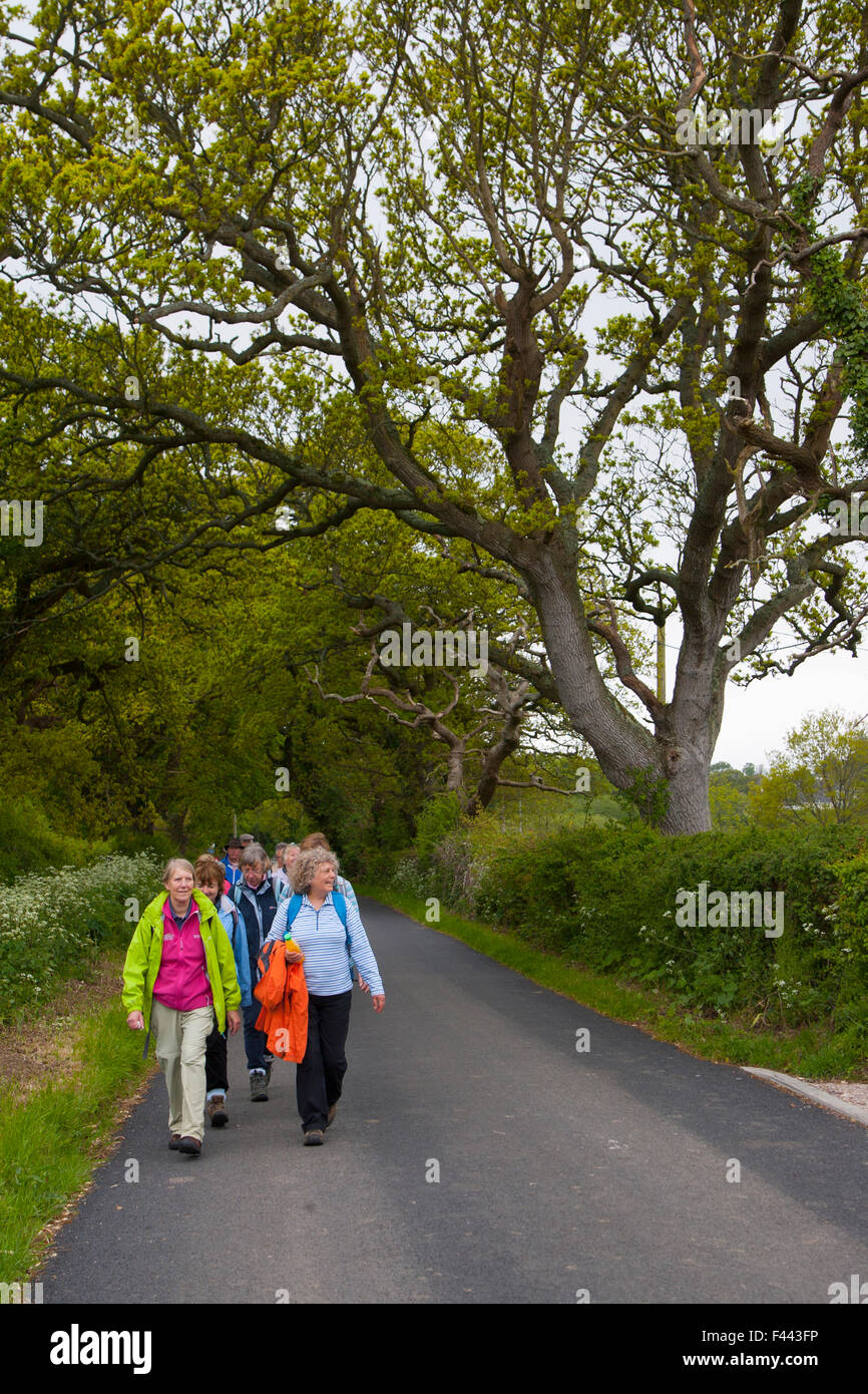 walkers ramblers Walk the Wight Heritage trail St Mildred's Church ...