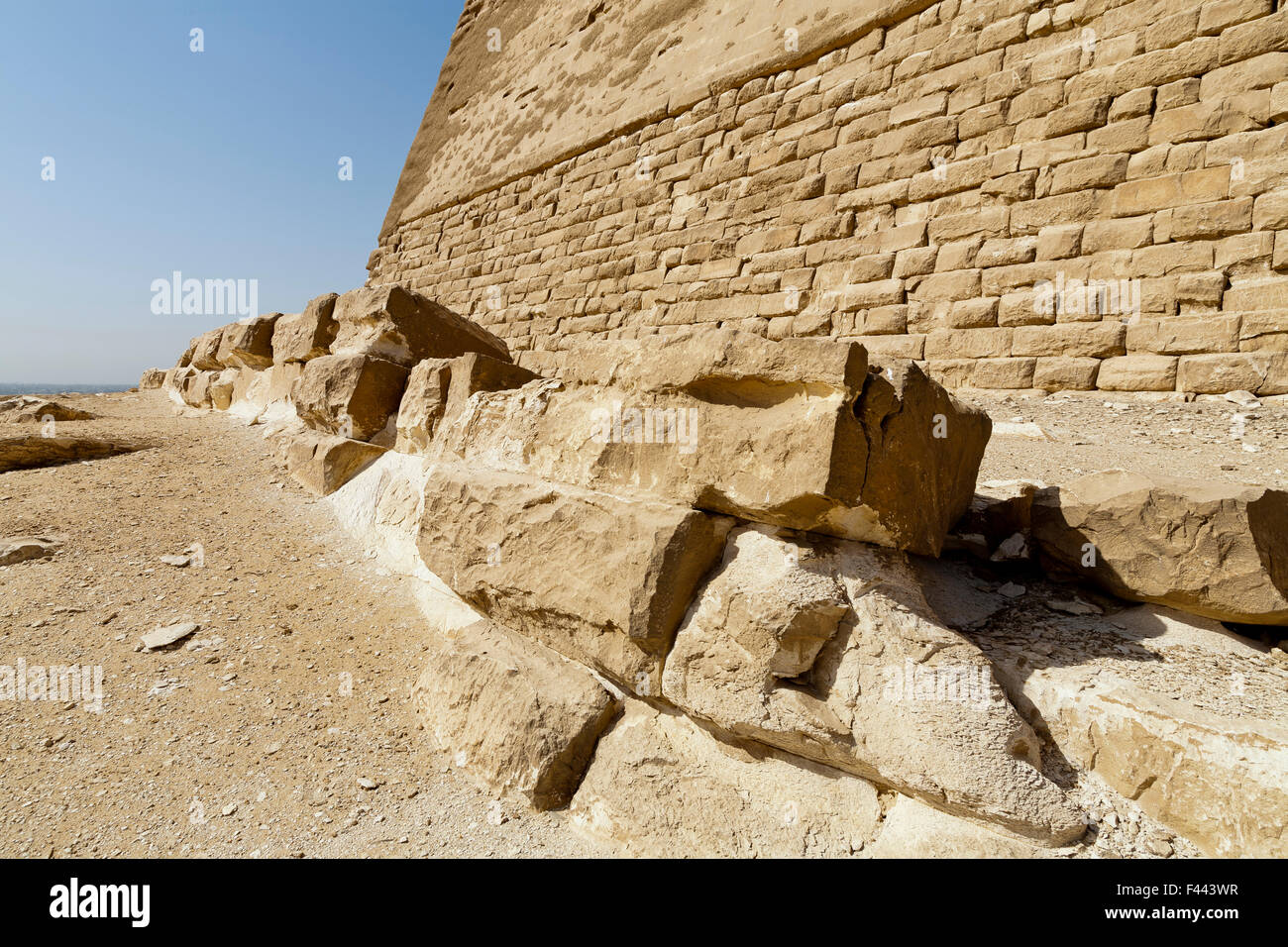 Meidum geese hi-res stock photography and images - Alamy
