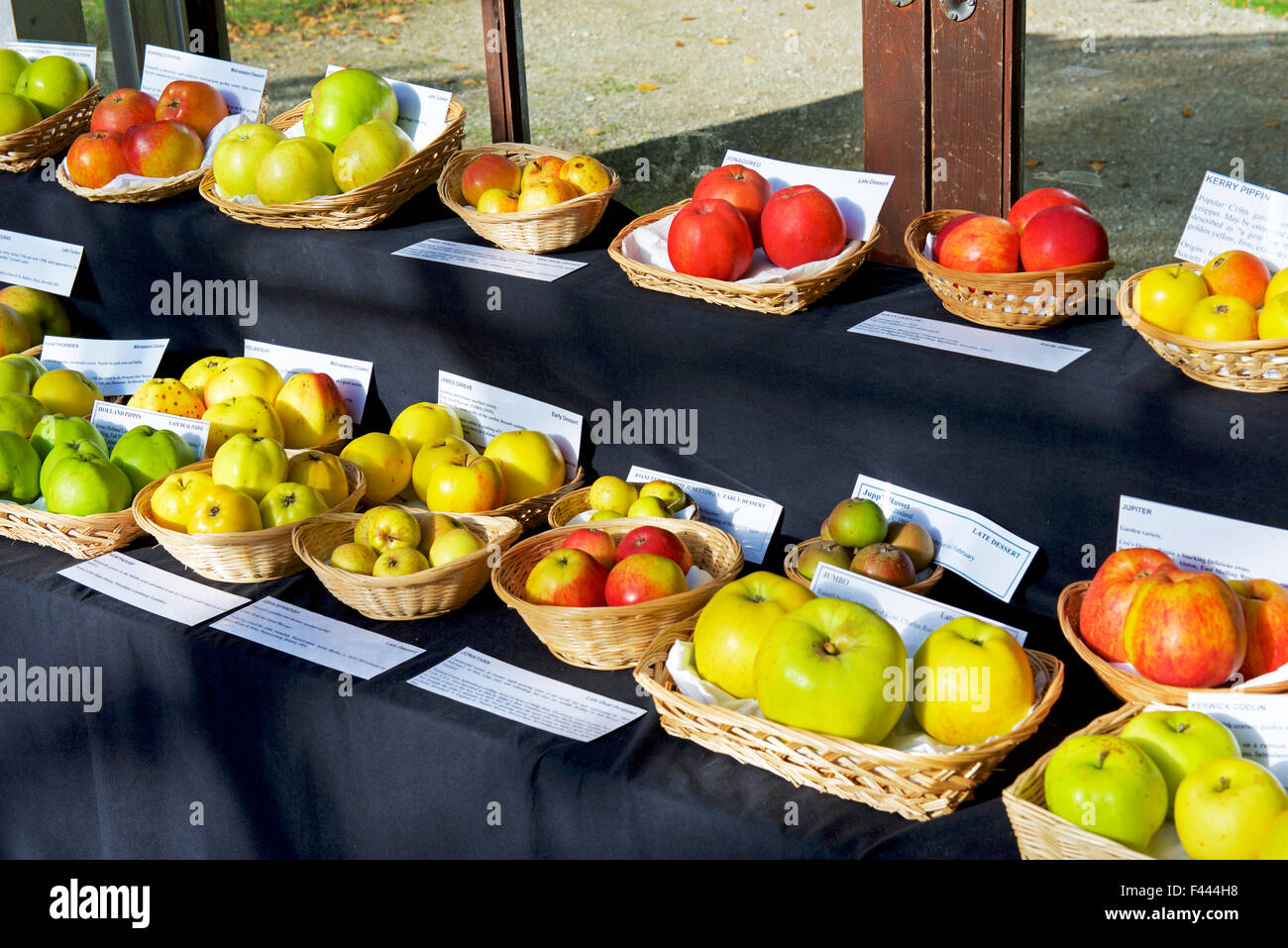 Apple varieties hi-res stock photography and images - Alamy