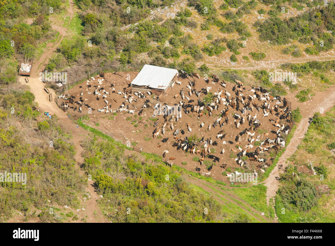 Goatfarm hi-res stock photography and images - Alamy