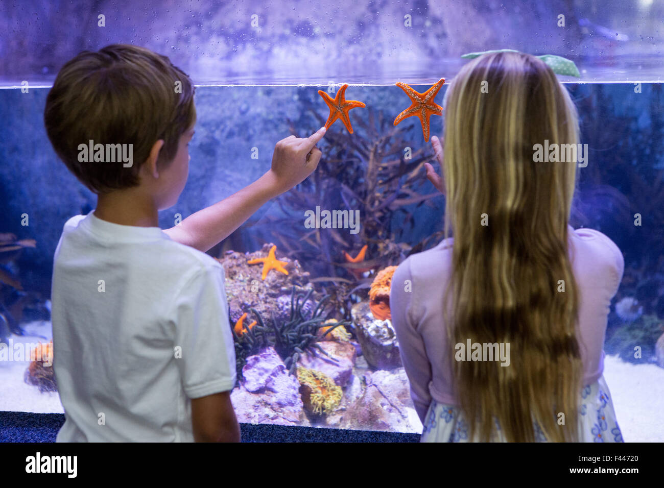 Pointing girl starfish hi-res stock photography and images - Alamy