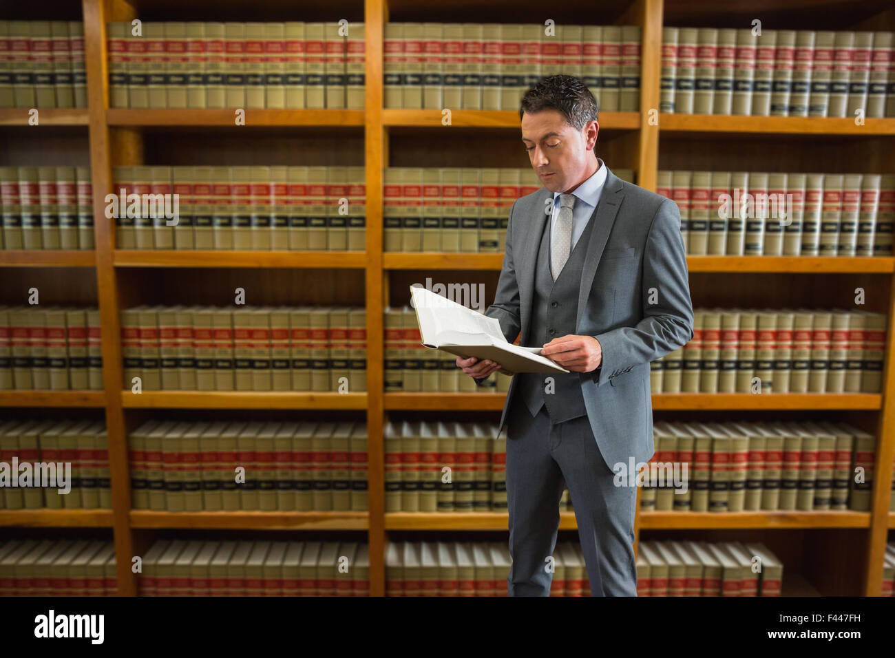 Lawyer reading book in the law library Stock Photo - Alamy