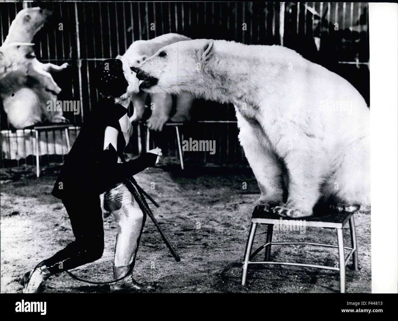 Jan. 10, 1974 - Being Kissed By Bear.that is something does not happen ...