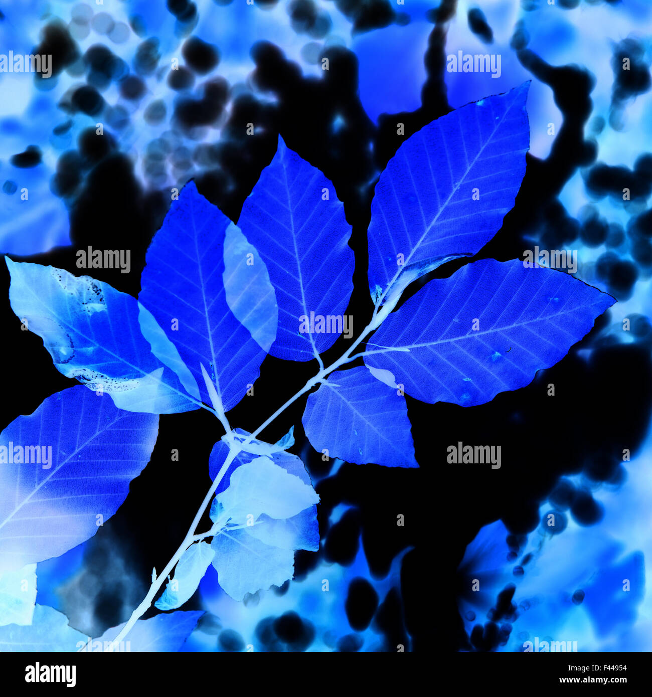 Abstract blue leaves Stock Photo - Alamy