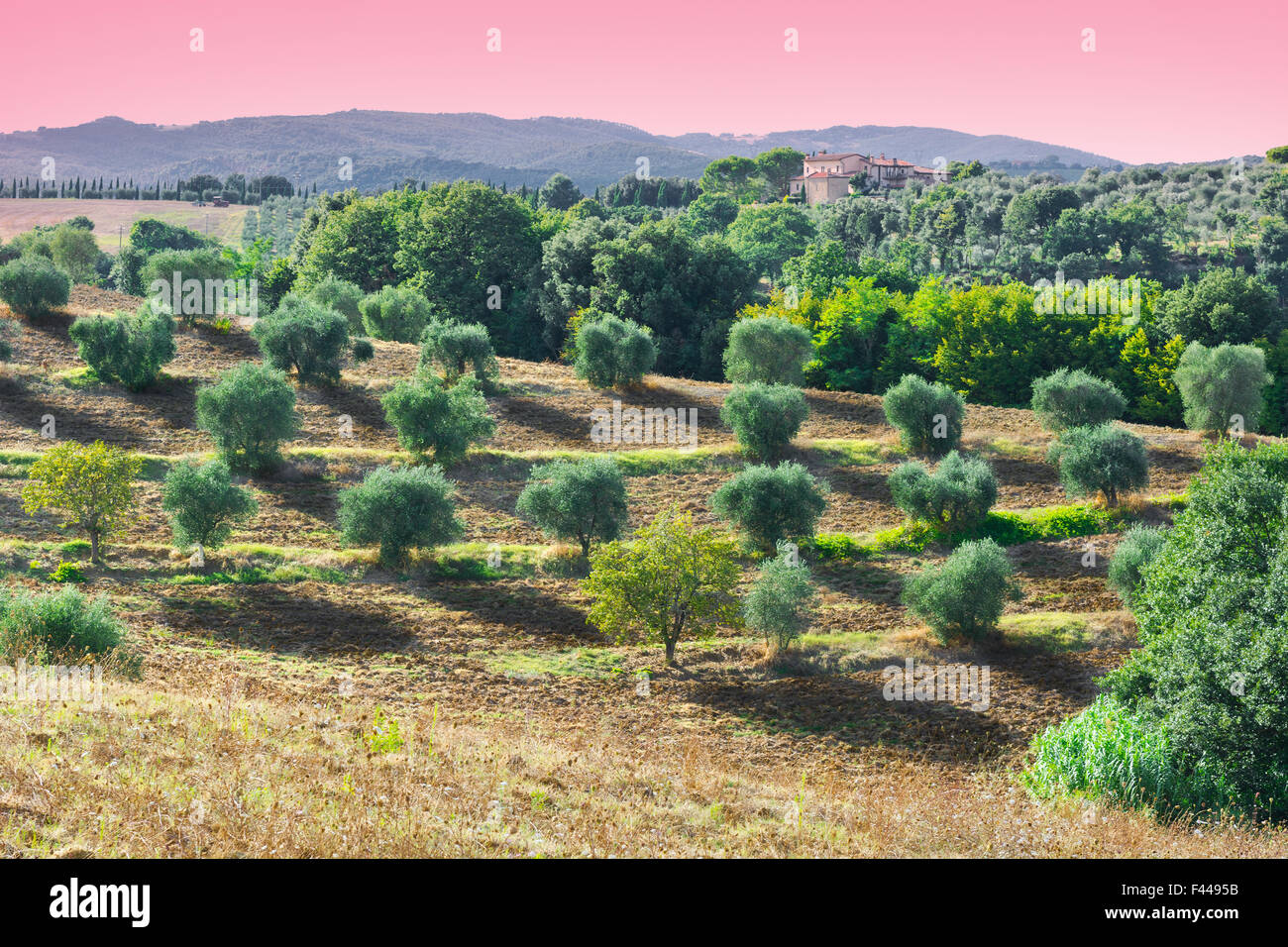 Tuscan forest landscape hi-res stock photography and images - Alamy