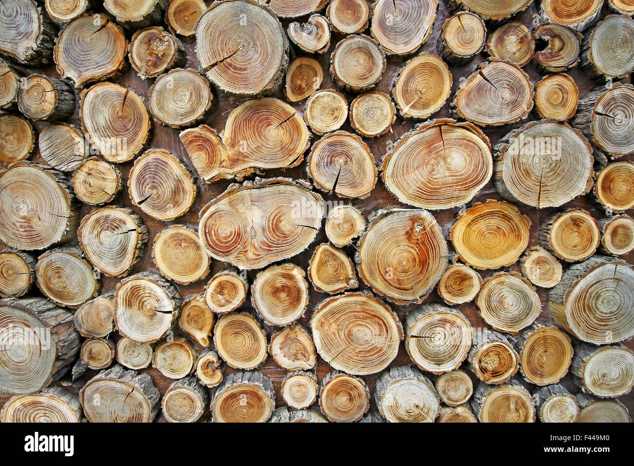 Circular wood texture background hi-res stock photography and images ...