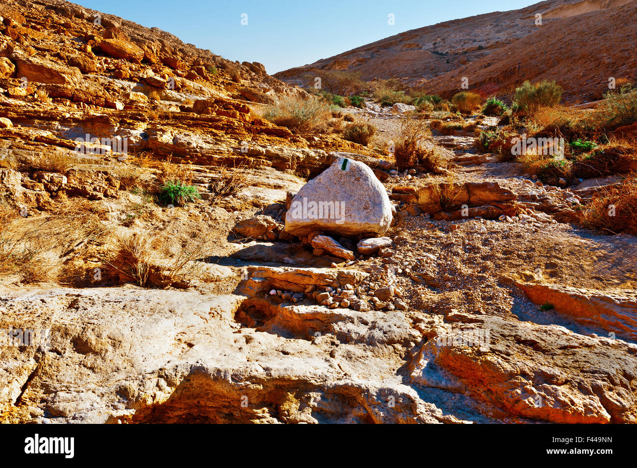 Desert in Israel Stock Photo - Alamy