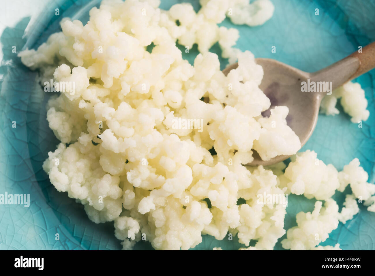 Organic probiotic milk kefir grains Stock Photo - Alamy