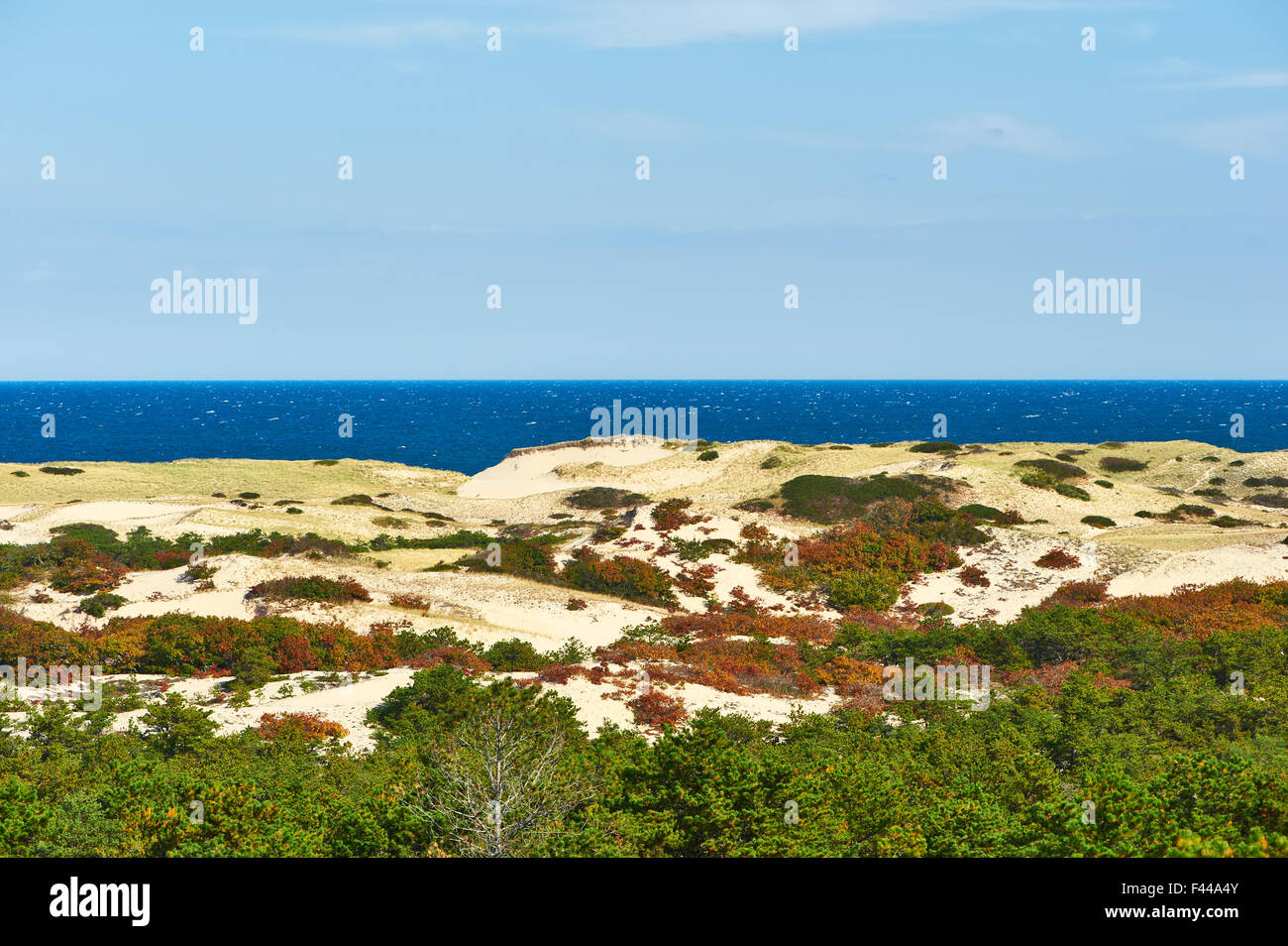 Landscape with sand dunes at Cape Cod Stock Photo - Alamy