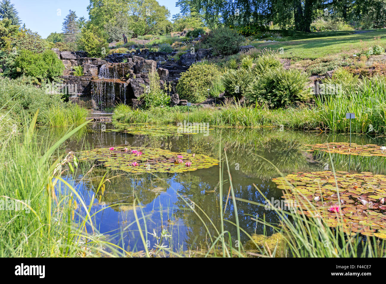 Waterfall at botanical garden Stock Photo - Alamy
