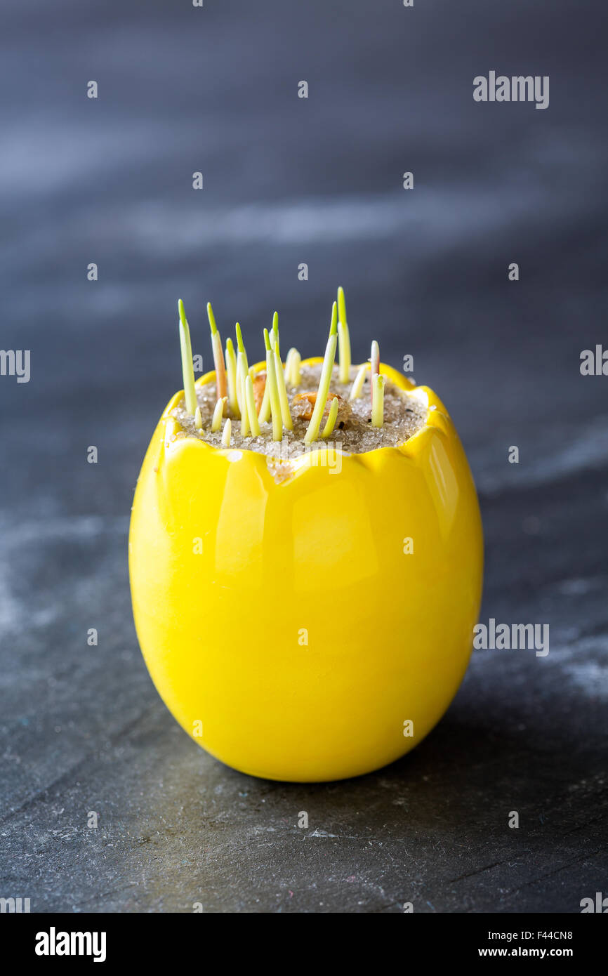 Germ hi-res stock photography and images - Alamy