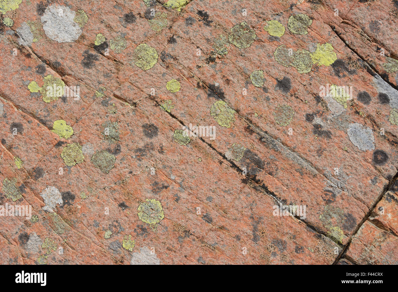Rock texture with cracks Stock Photo - Alamy