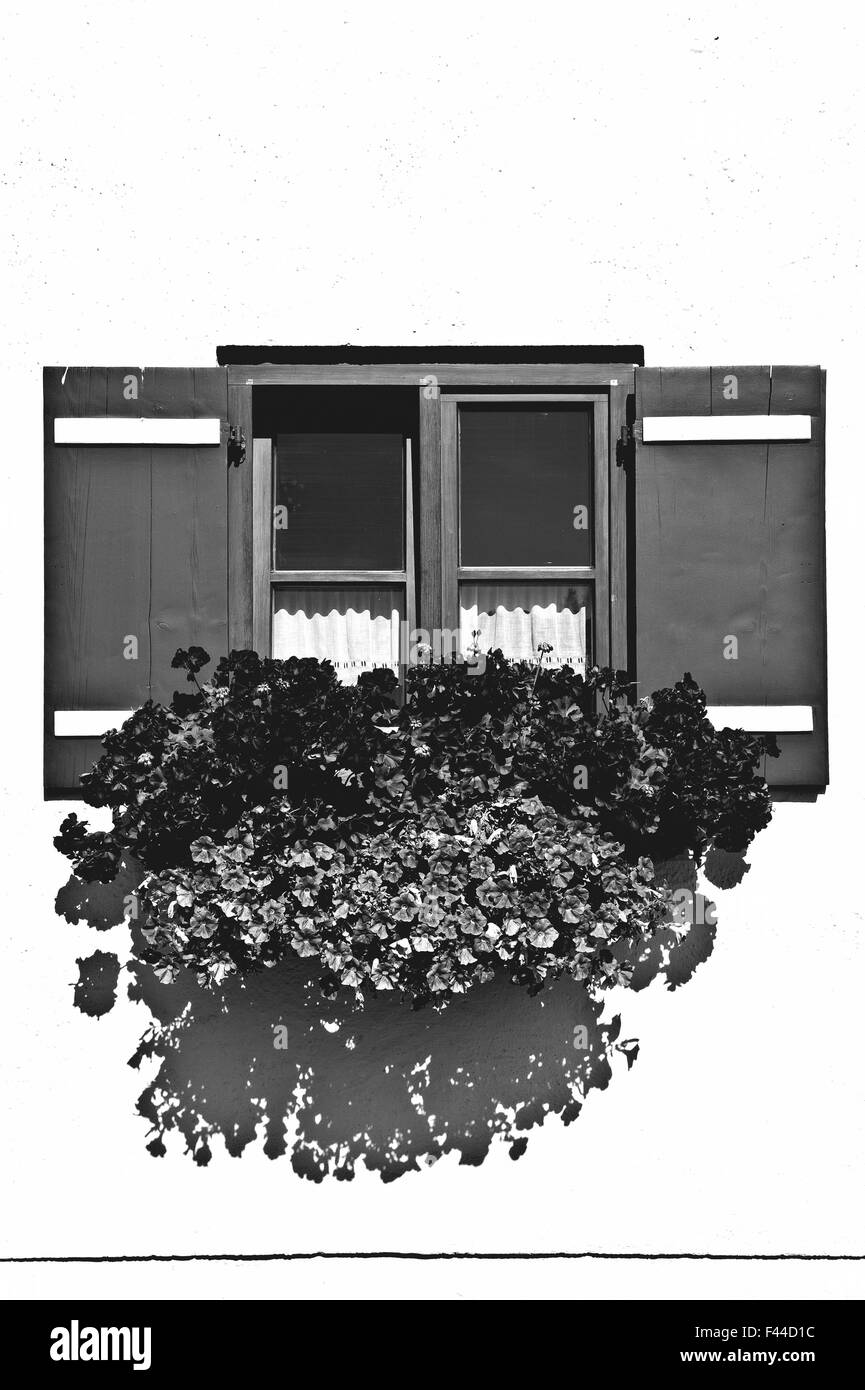 Window floral frame Cut Out Stock Images & Pictures - Alamy