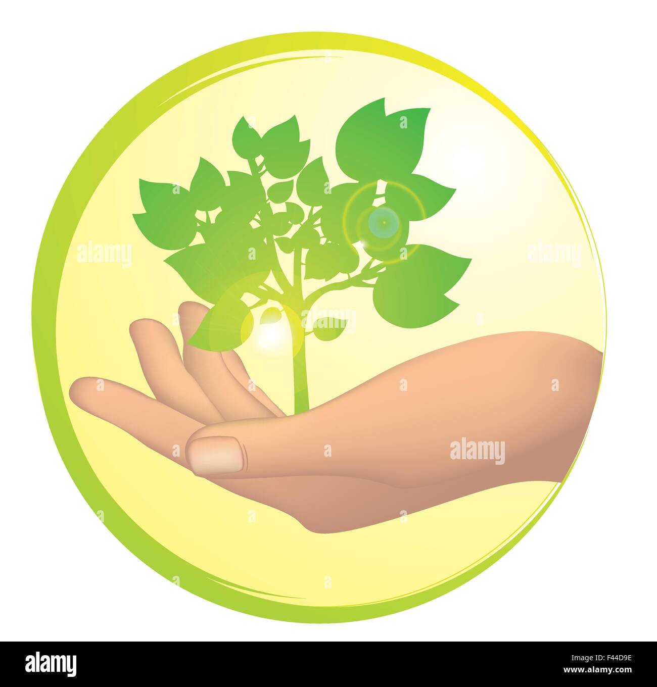 Tree growing in a human hand Stock Vector Image & Art - Alamy