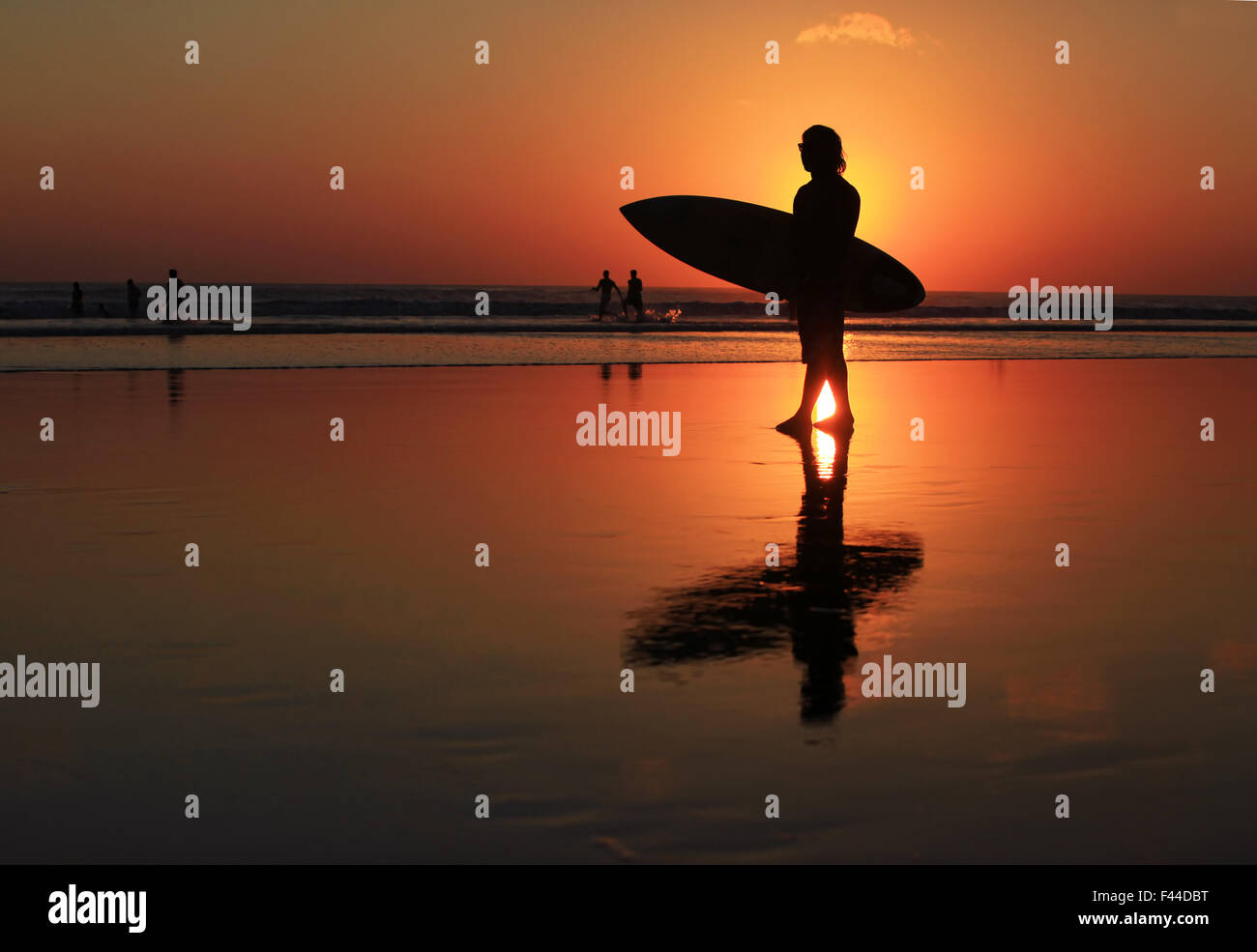 Surfer on sunset Stock Photo - Alamy