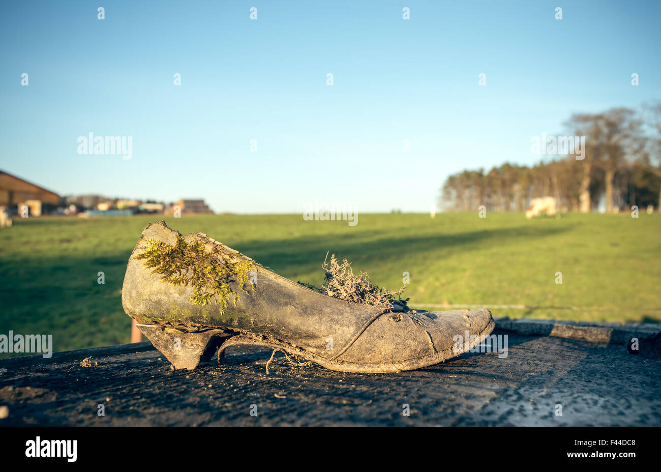Torn shoes hi-res stock photography and images - Alamy