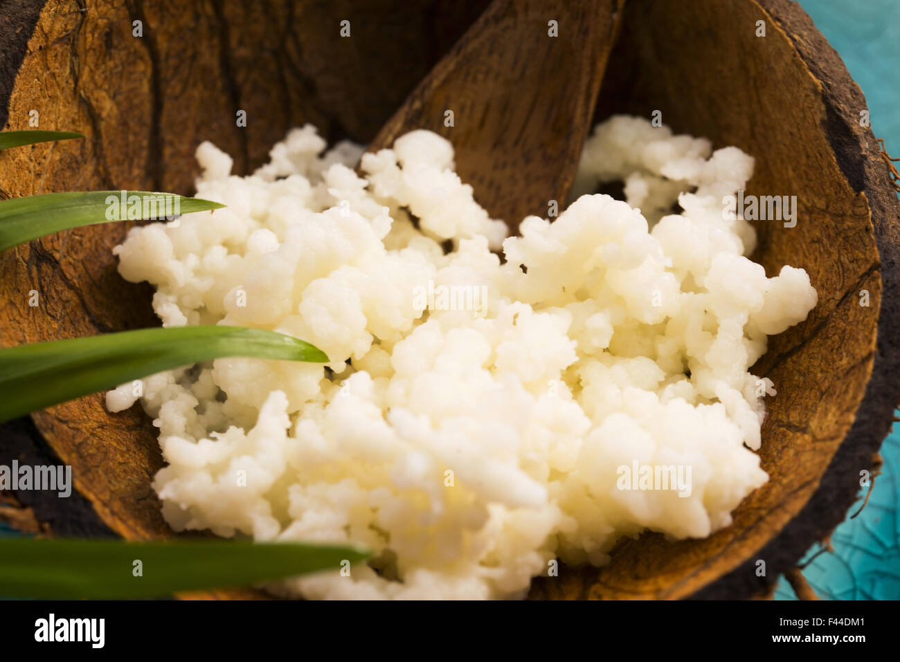Organic probiotic milk kefir grains Stock Photo - Alamy