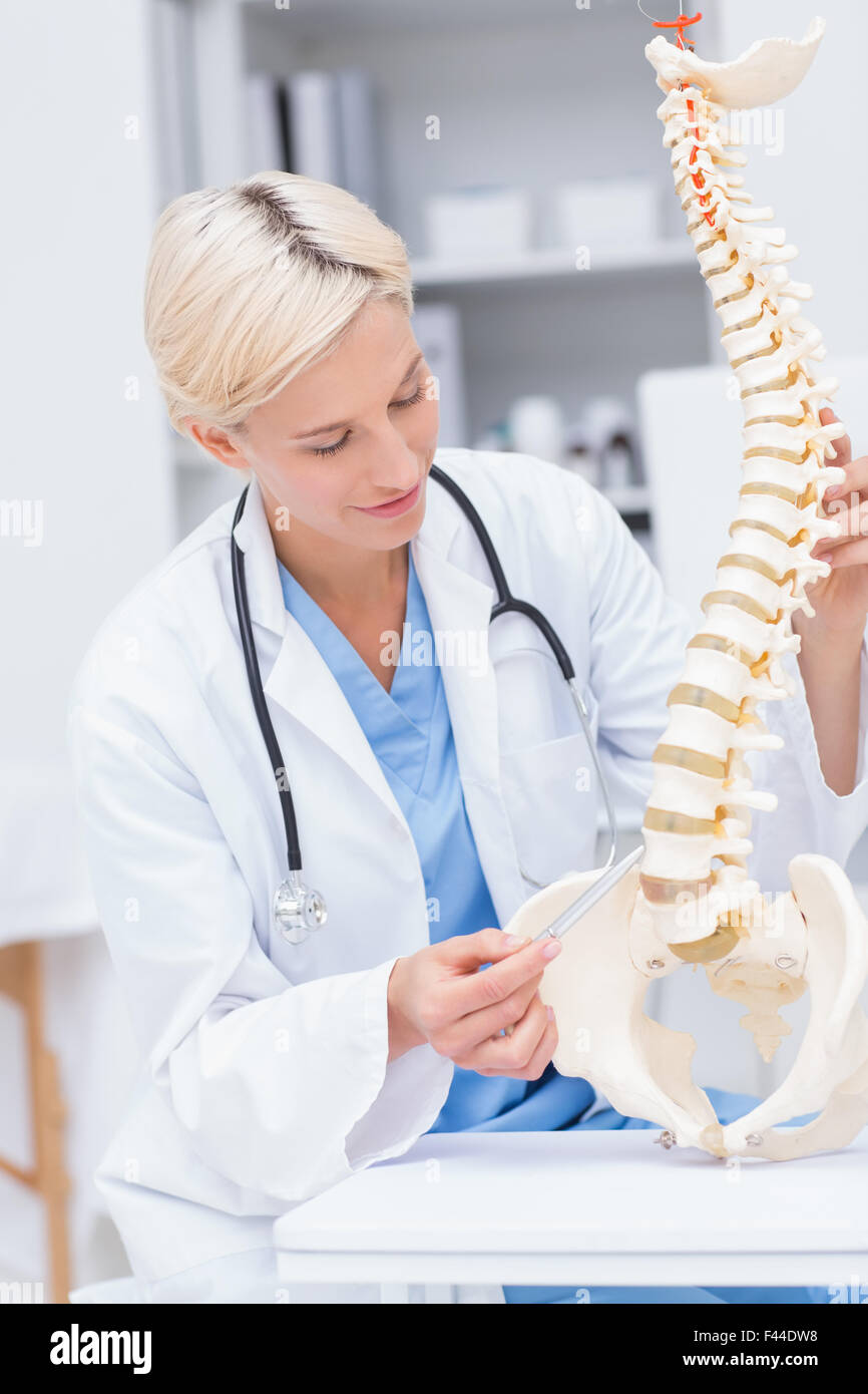 Doctor looking spine model hi-res stock photography and images - Alamy