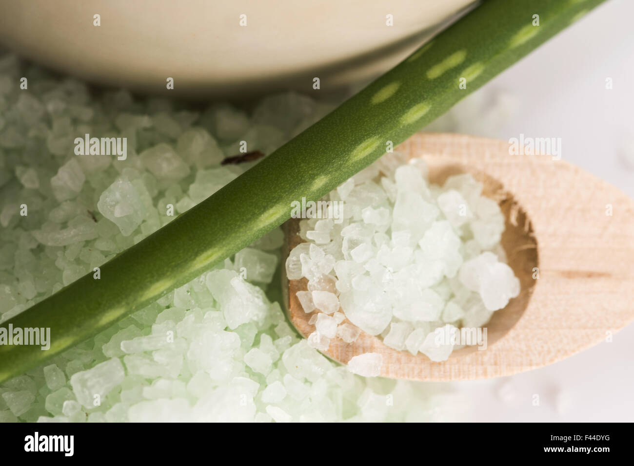aloe vera and sea salt Stock Photo - Alamy