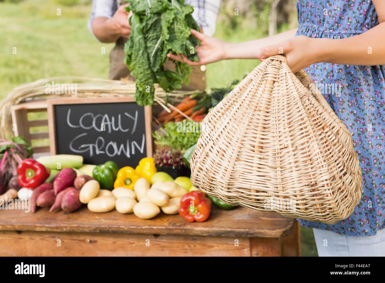 Farmer selling his organic produce Stock Photo - Alamy
