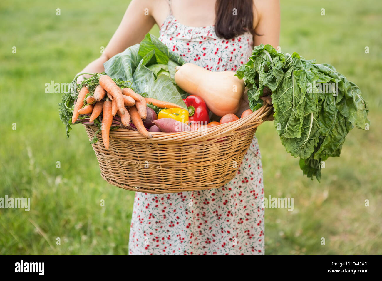 Pretty woman with basket of veg Stock Photo - Alamy